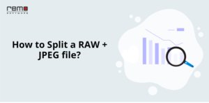 How to split a RAW + JPEG file | Use Lightroom to split a RAW + JPEG ...